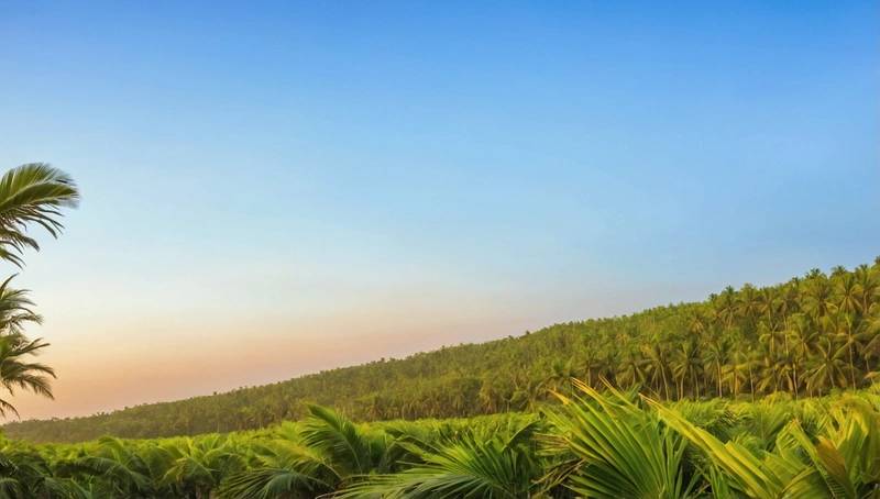 Palm Prices Rise On US Tariff Relief For Indonesia;